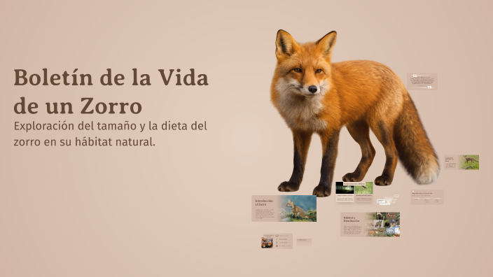 Boletín de la Vida de un Zorro by FLOR ARACELY PEREZ PEREZ on Prezi