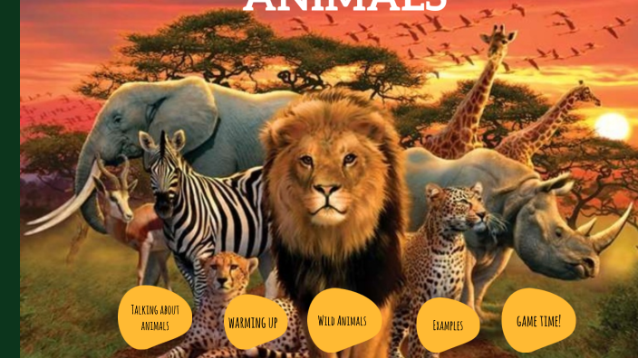 Animals. Grade 5. by мария епифанцева on Prezi