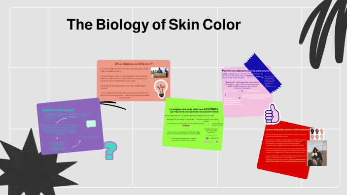 La Biologia del Colore della Pelle by Camilla Visani on Prezi