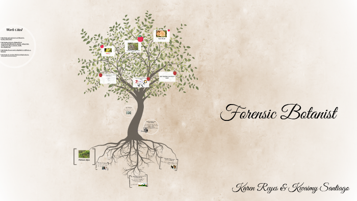 Forensic Botanist by Karen Reyes on Prezi