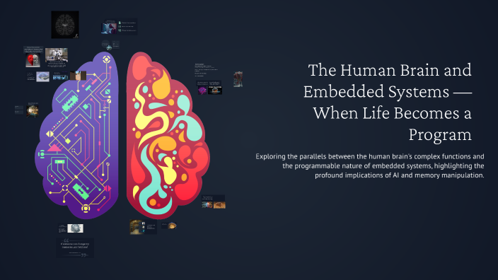 The Human Brain and Embedded Systems — When Life Becomes a Program by ...