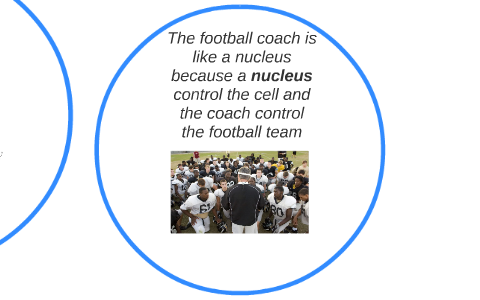 The football coach is like a nucleus because a nucleus contr by sam ...
