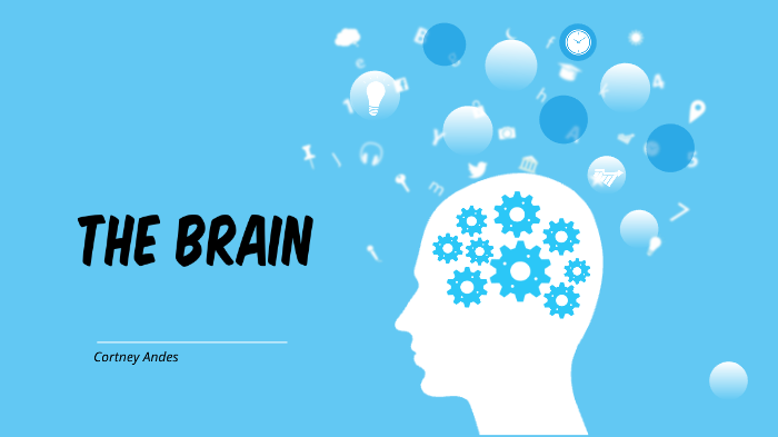 THE BRAIN by Cortney Andes on Prezi