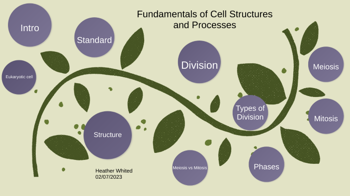 Fundamentals of Cell Structures and Processes by Heather Whited on Prezi