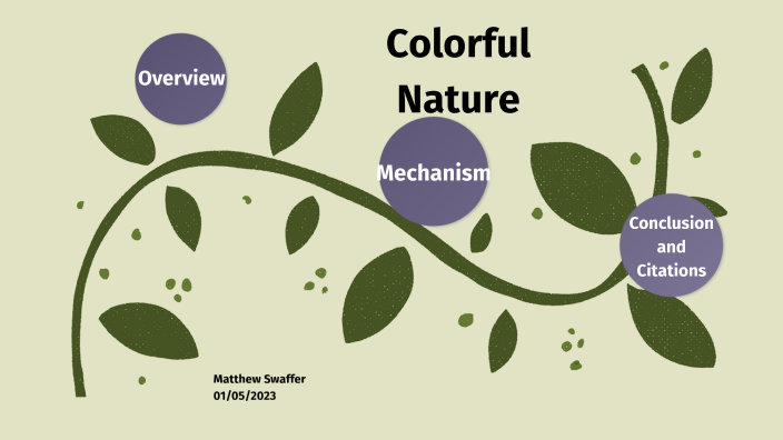 Gene Therapy: Silencing by Matt Swaffer on Prezi