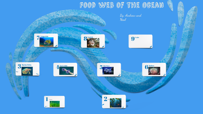 Food web of Ocean by Andrew Dingley on Prezi