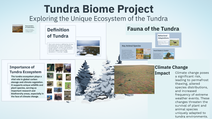 Tundra Biome Project by Samson Manns on Prezi