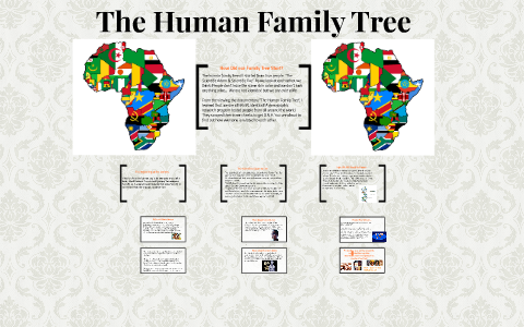 The Human Family Tree by Romello Jones on Prezi