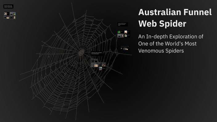 Australian Funnel Web Spider by Lionel Cavazos on Prezi