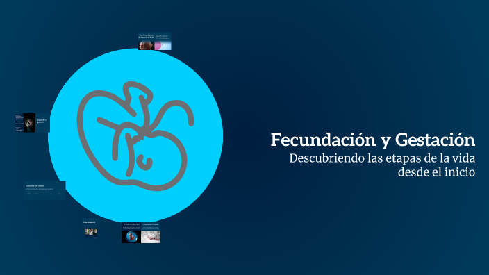 Fecundación y Gestación by martin 618 on Prezi