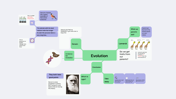 KS3 Evolution by Joe Eales on Prezi