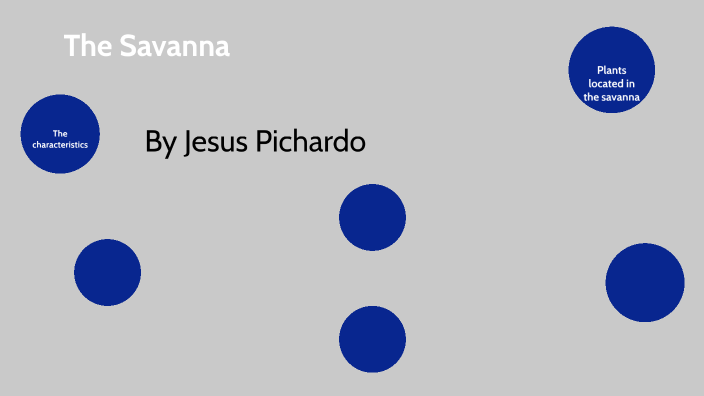 The savanna by Jesus Pichardo on Prezi