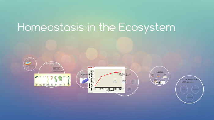 Homeostasis in the Ecosystem by Queen Anne Garcia on Prezi