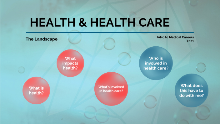 Health Care Landscape by Morgan F on Prezi