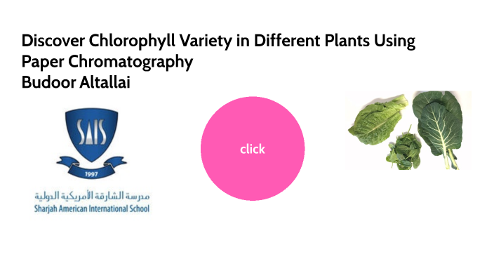 Discover Chlorophyll Variety in Different Plants Using Paper ...
