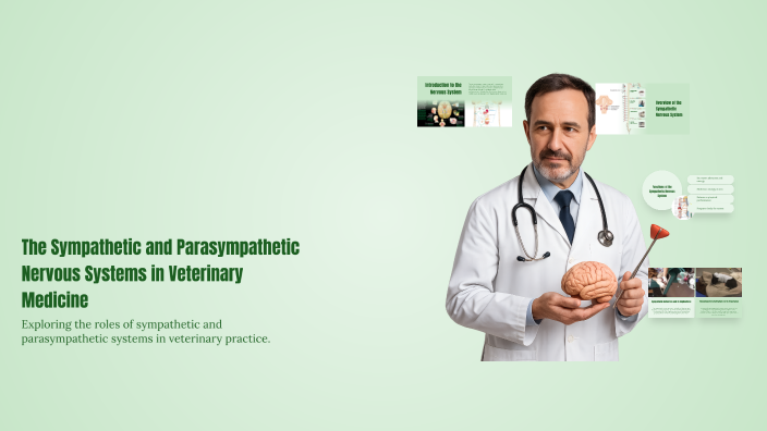 The Sympathetic and Parasympathetic Nervous Systems in Veterinary ...