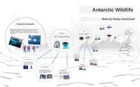 Antarctic Animals by darby carmichael on Prezi