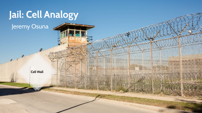 Jail: Cell Analogy by Jeremy Osuna on Prezi