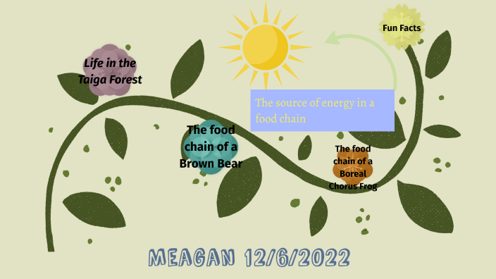 Meagan’s project by wynter warren on Prezi