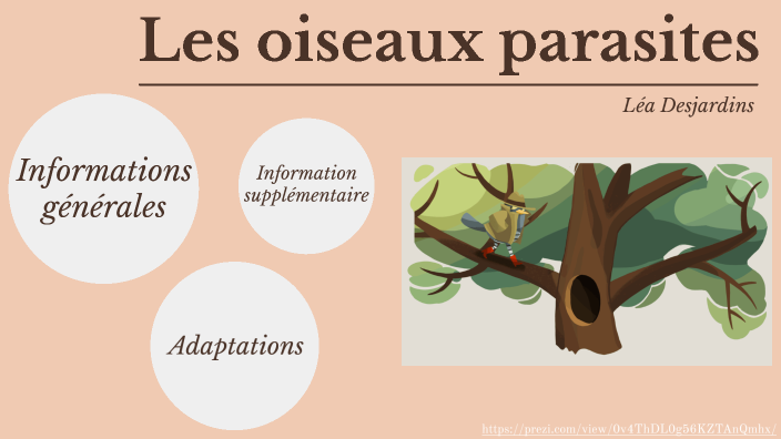 Parasitisme de ponte by Léa Desjardins on Prezi