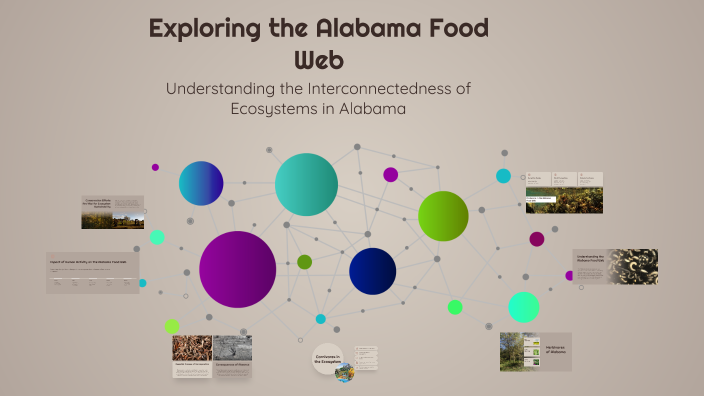 Exploring the Alabama Food Web by Lucas Drost on Prezi