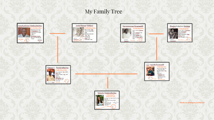 My Family Tree by Vennela Pandaraboyina on Prezi