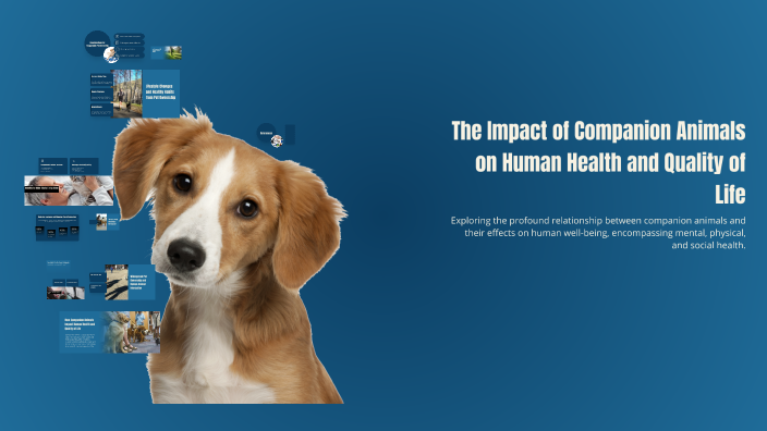 The Impact of Companion Animals on Human Health and Quality of Life by ...