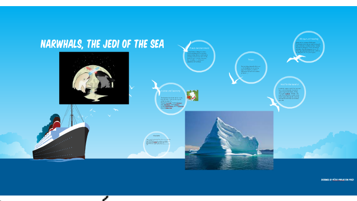 Narwhals, The Jedi of the sea by Kevin Dicey on Prezi
