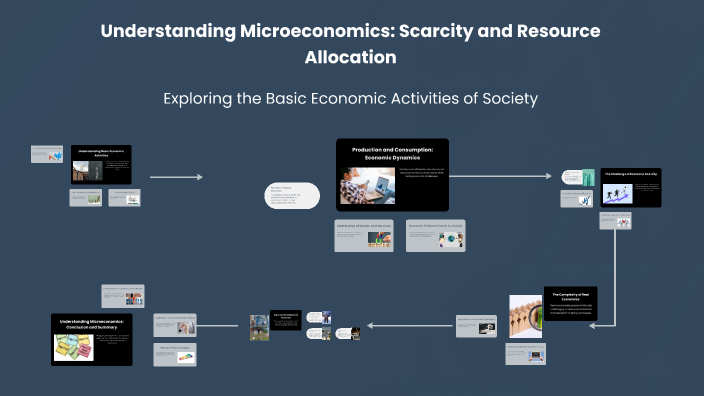 Understanding Microeconomics: Scarcity and Resource Allocation by ...