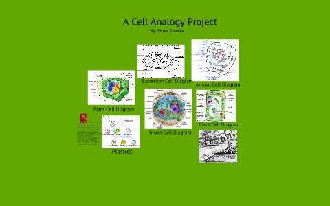 Cell Analogy project by Emma Gieseke on Prezi
