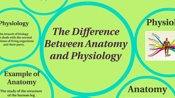 The difference between Anatomy and Physiology by Mollie Cavenaugh on Prezi