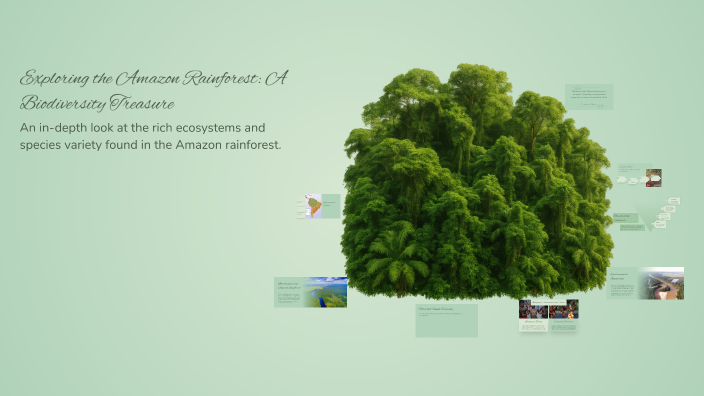 Exploring the Amazon Rainforest: A Biodiversity Treasure by Emerald ...