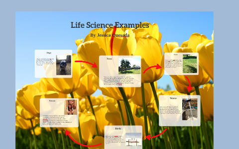Life Science Examples by Jessica Quesada on Prezi