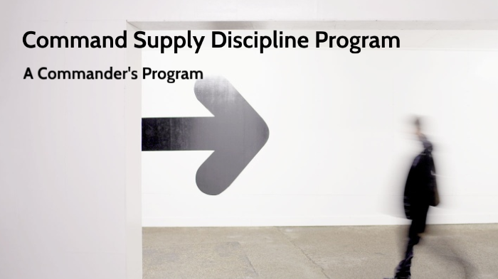 CSDP Presentation by juan erribarren on Prezi