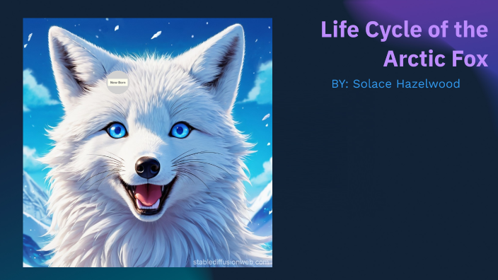 Life Cycle of the Arctic Fox by Solace Hazelwood on Prezi