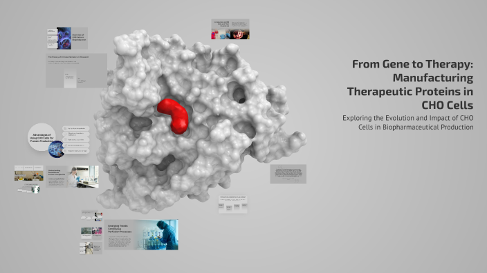 From Gene to Therapy: Manufacturing Therapeutic Proteins in CHO Cells ...