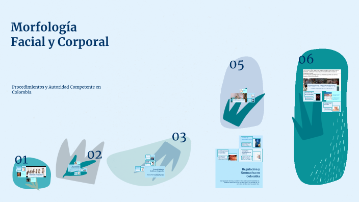Morfología Facial y Corporal by Christian Alexis Ortiz Delgado on Prezi