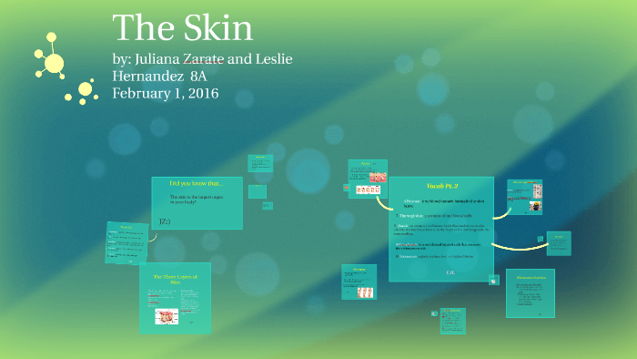 The Skin by Juliana Zarate and Leslie Hernandez by Juliana Zarate on Prezi