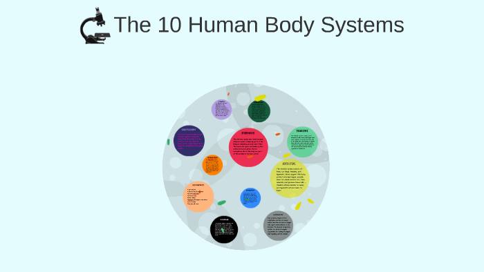 The 10 Human Body Systems by Adrianna Leone on Prezi
