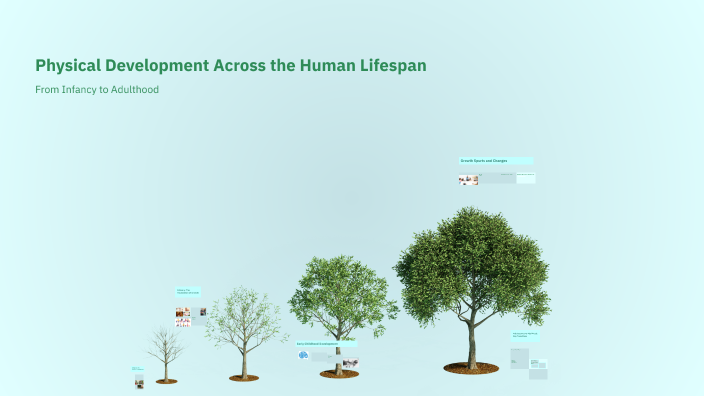 Physical Development Across the Human Lifespan by Aaron Labanon on Prezi