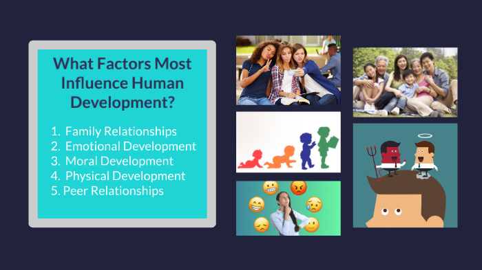 Factors Influencing Development by Erica Cappuccitti on Prezi
