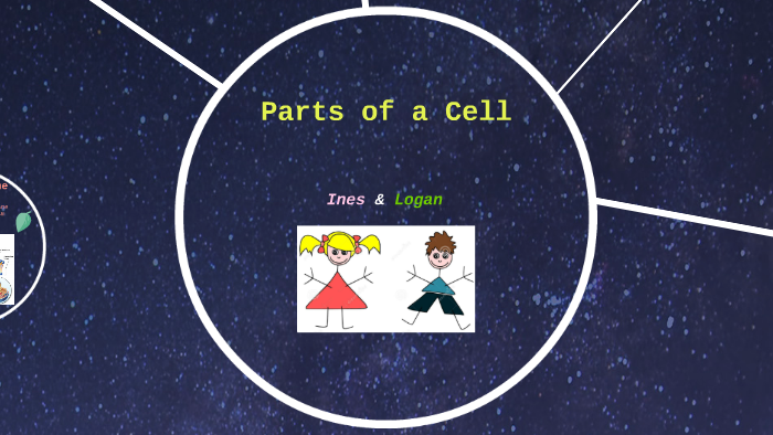 Parts of a Cell by logan treadway on Prezi