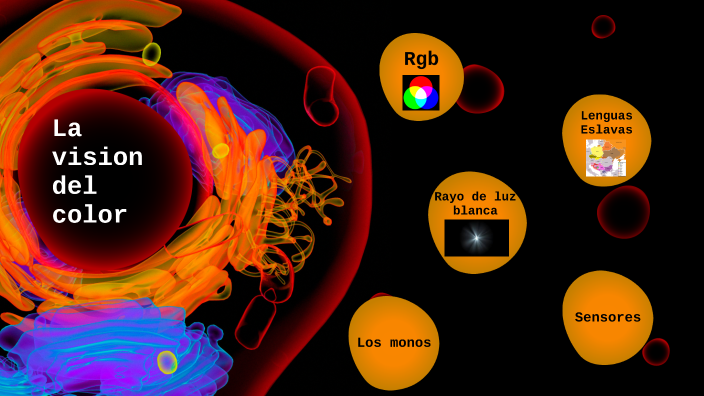 La vision del color by MIGUEL ANGEL HERRERA HOLGUIN on Prezi