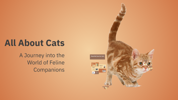 All About Cats by קרן הדר on Prezi