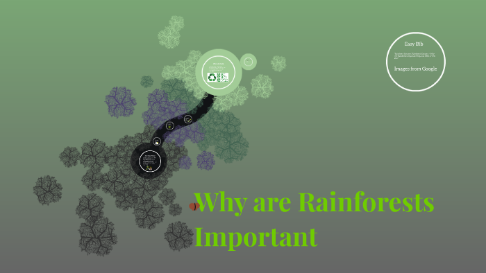 Why are Rainforests Important by Griffin Symans on Prezi
