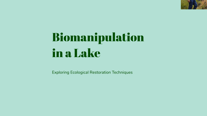 Biomanipulation in a Lake by Noah Bæk Hansen on Prezi