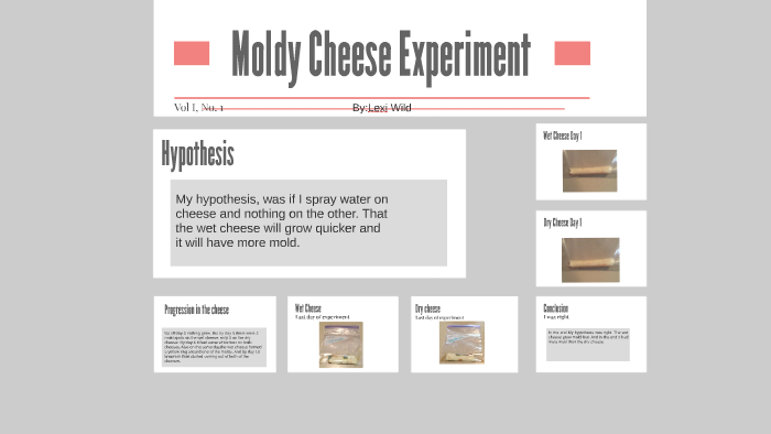 Moldy Cheese Experiment by Lexi Wild on Prezi