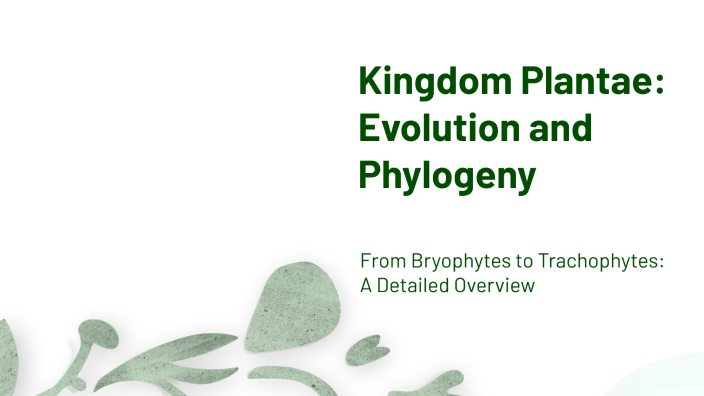 Kingdom Plantae: Evolution and Phylogeny by Janielle Recalde on Prezi
