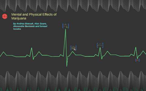 Mental and Physical Effects of Marijuana by Andrea Boesak on Prezi