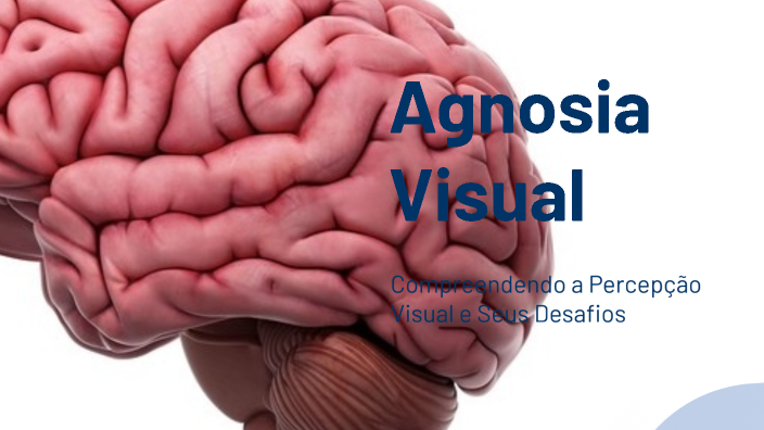Agnosia Visual by Claudia Gonçalves on Prezi